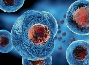 RDYMD Coral Gables Miami Med Spa